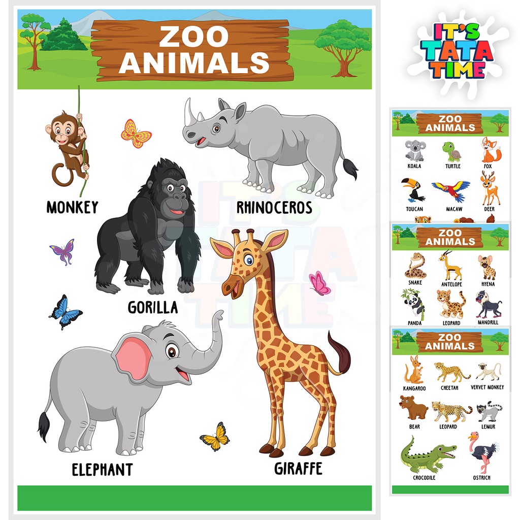 Zoo Animals Educational Chart for Children - A4 Laminated Glossy ...