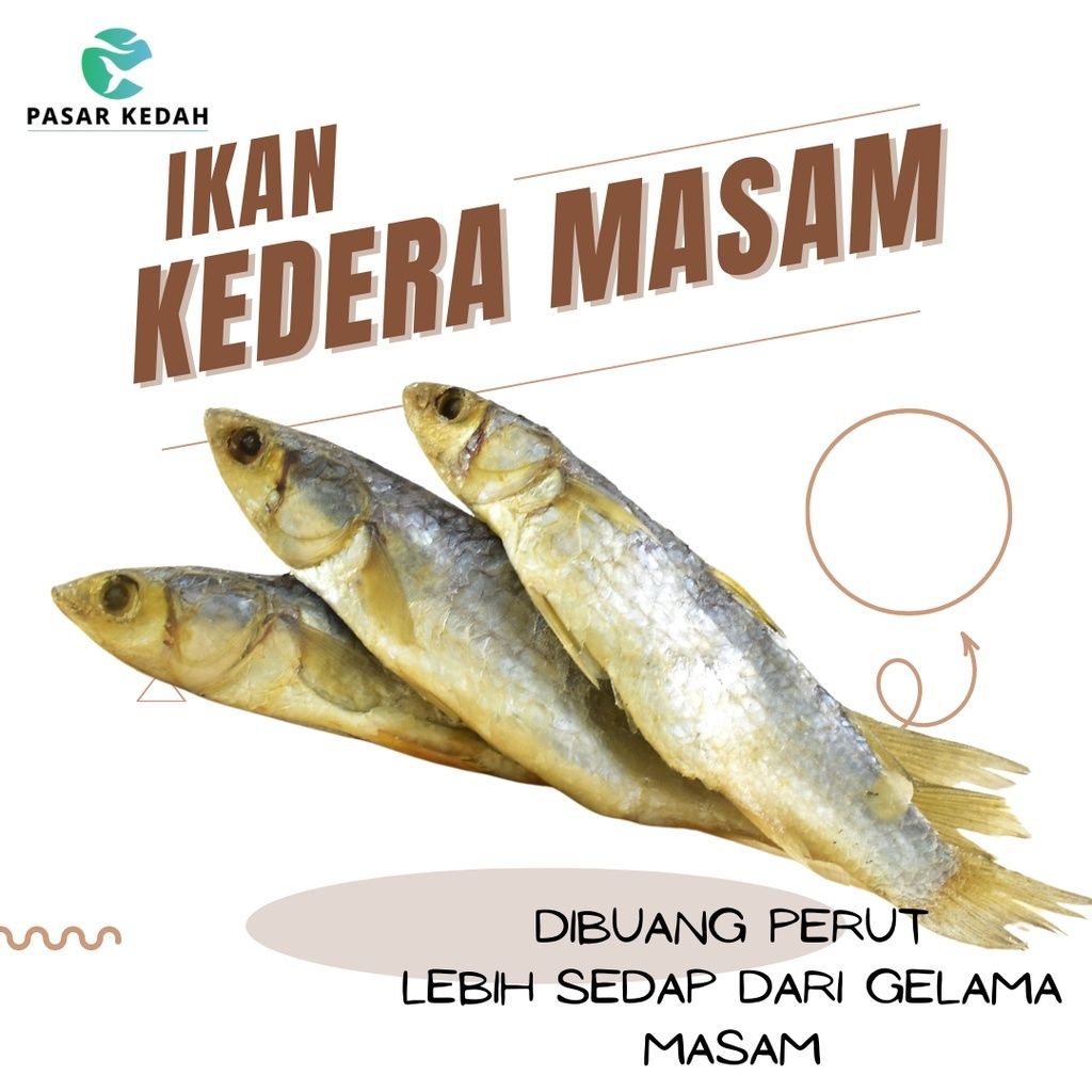 Pasar Kedah Ikan Kedera Masam Tanjung Dawai | Fermented Salted Fish ...