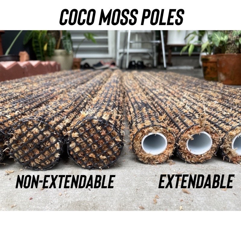 2pcs Combo Set : COCO MOSS POLES 6cm Diameter | Shopee Malaysia