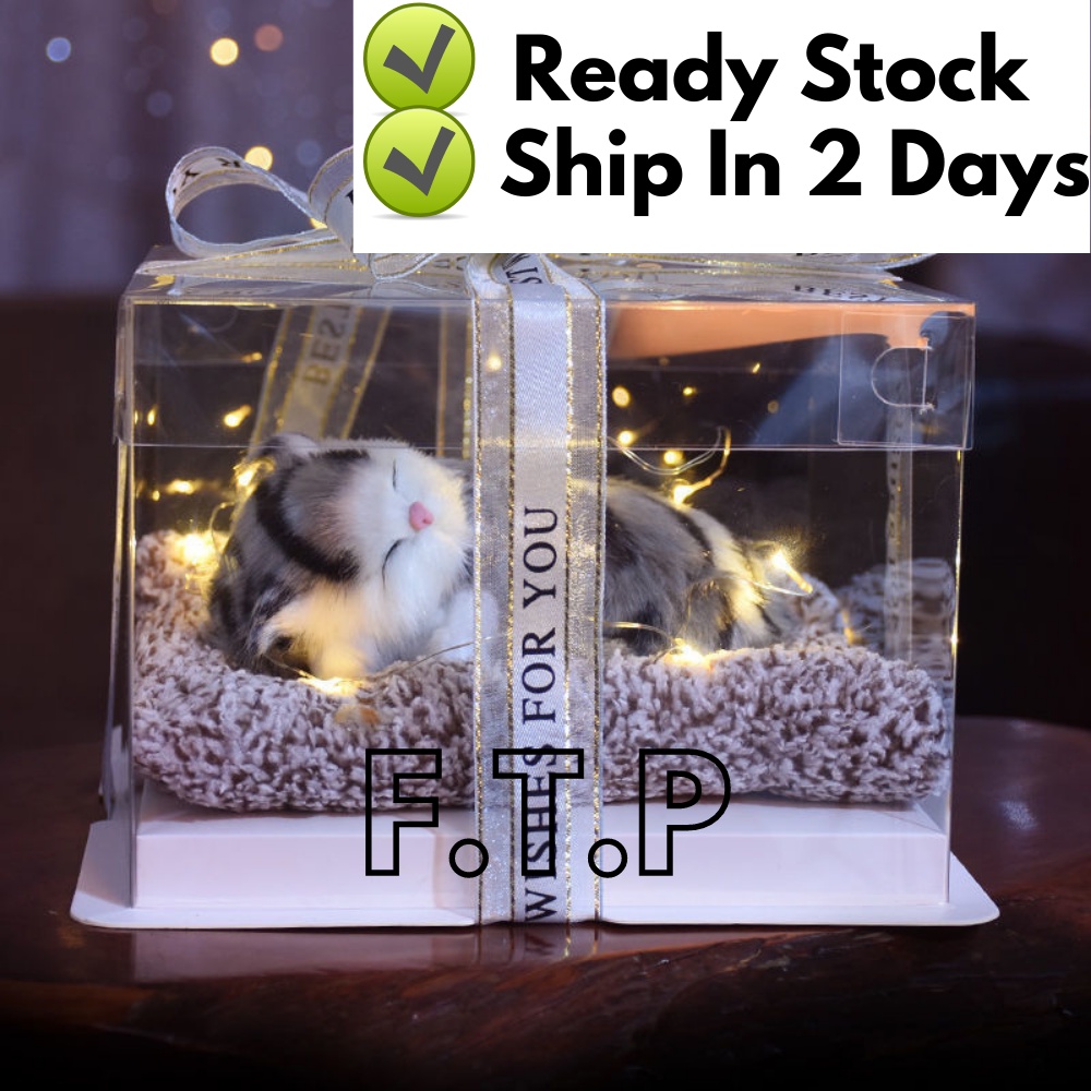 Valentine Gift Cute Cat Pet Children Gift Birthday Girl Girlfriend ...