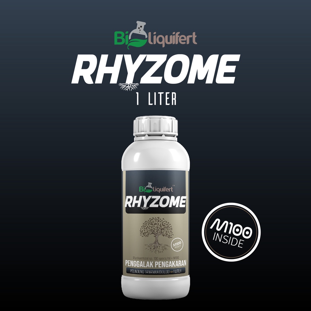 RHYZOME (WITH M100 INSIDE) | Shopee Malaysia