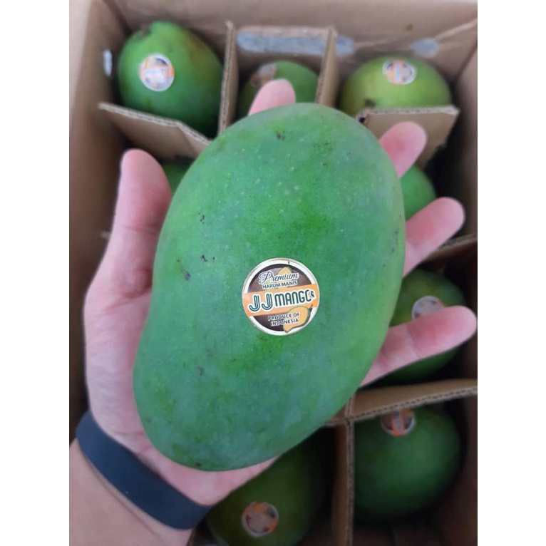 Premium Susu Mango | Premium Harum Manis Mango 1pc | Shopee Malaysia