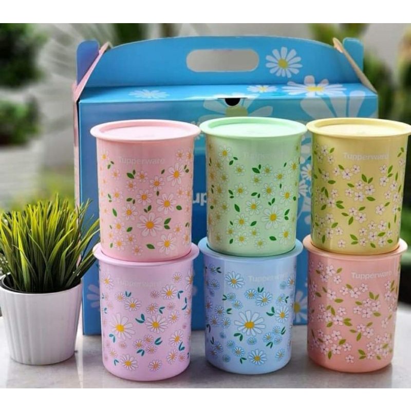 TUPPERWARE SPRING ONE TOUCH 1.25L 6PCS | Shopee Malaysia