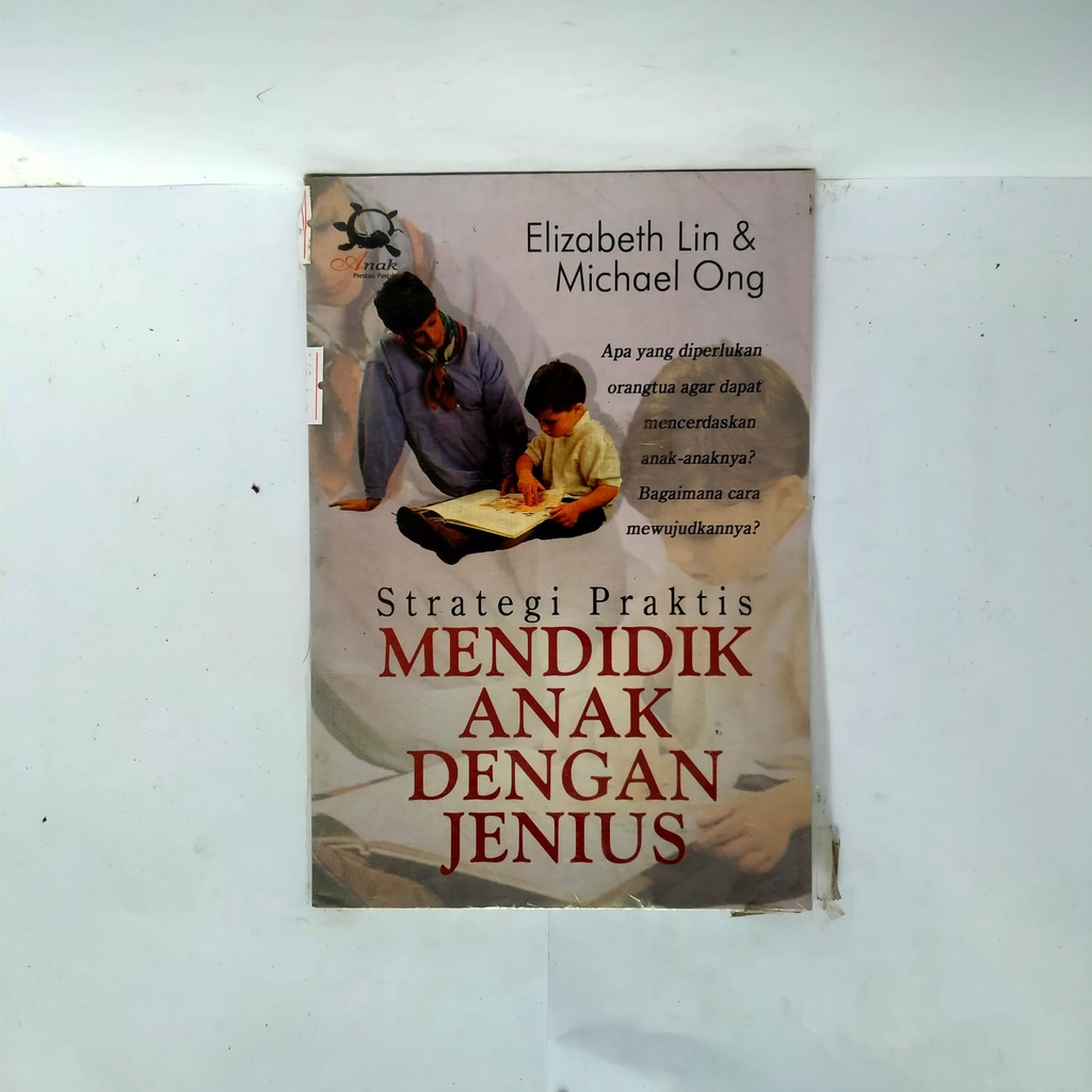 PRACTICAL STRATEGIES FOR EDUCING CHILDREN WITH THE JENIUS ELIZABETH LIN ...