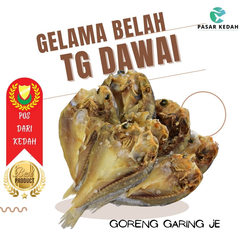 Pasar Kedah Ikan Masin Gelama Belah Rangup Tanjung Dawai | Salted Fish ...