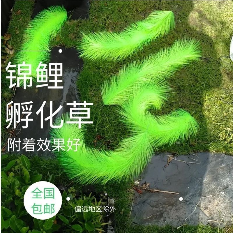 Aquarium Goldfish Hatching Grass Soft Brush Fish Aquarium Accessories ...