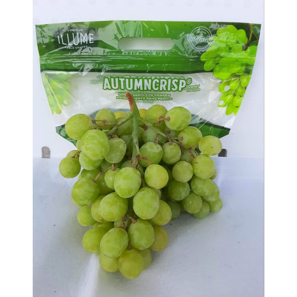 Autumn Crisp®️, Sweet Globe, Pretty Lady Green Seedless Grapes (500gm ...