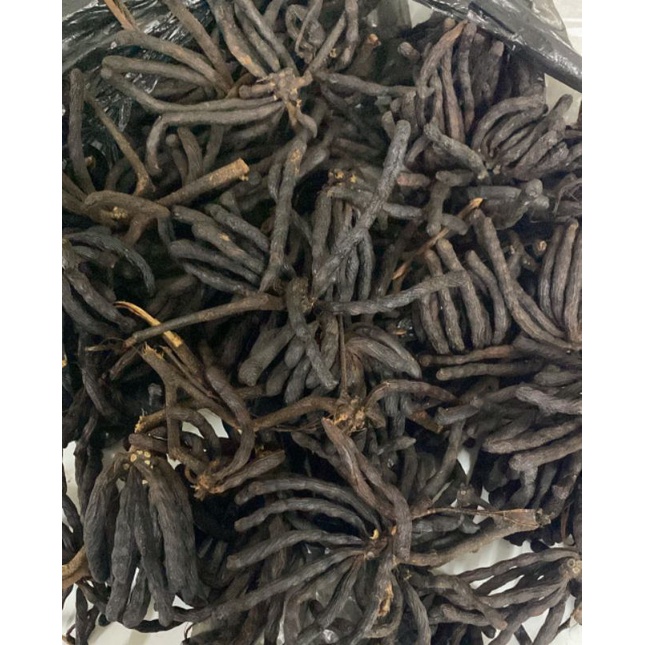 Uda Seeds, eeru alamo, grains of selim 🇳🇬(30g, 60g, 90g) | Shopee Malaysia