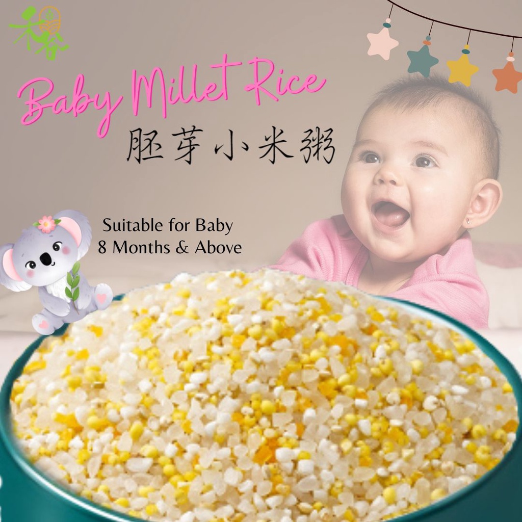 🇲🇾 现货 - 宝宝辅食 胚芽小米粥 - 500g Baby Food Baby Rice Baby Millet Rice Baby ...