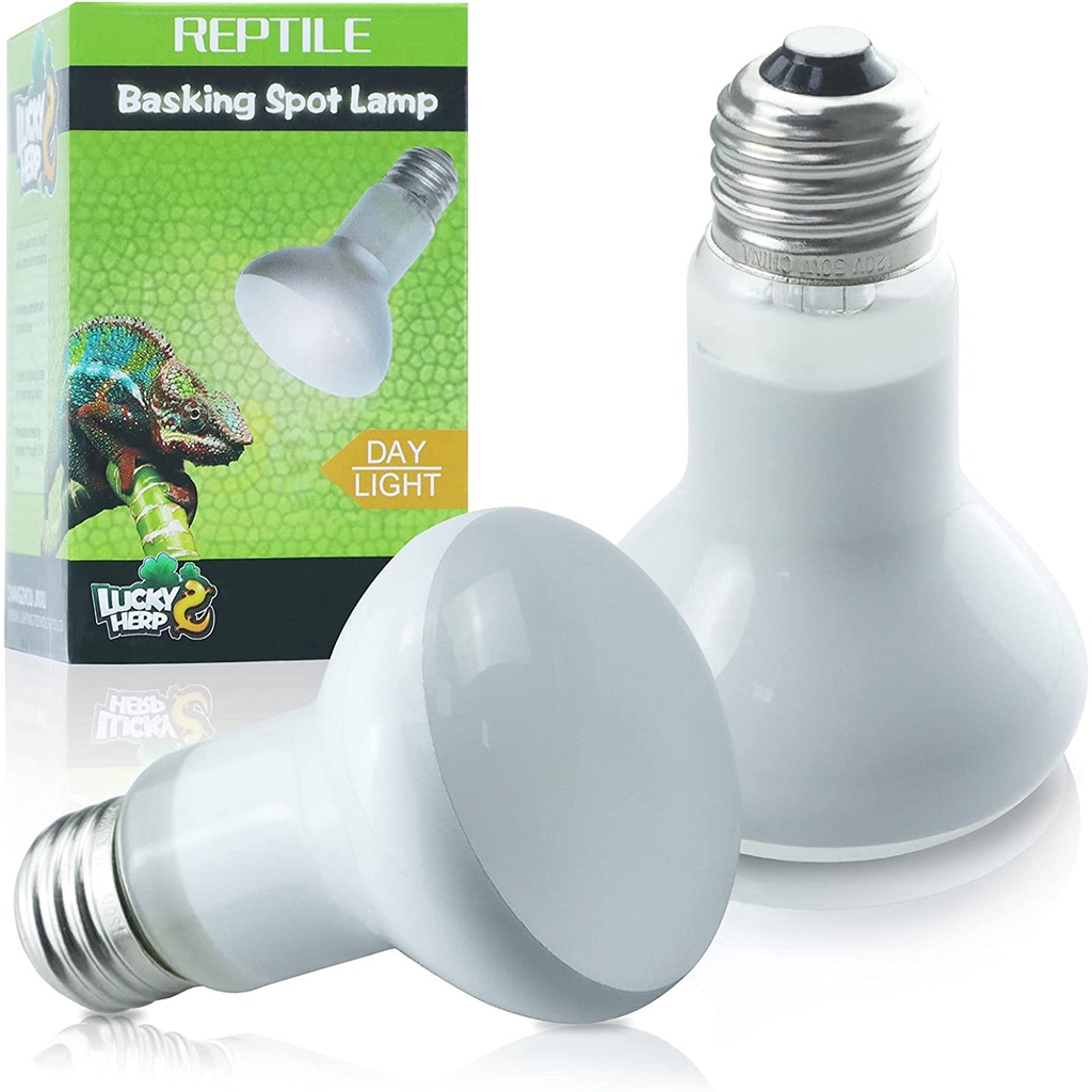 LUCKY HERP 100W Reptile basking spot lamp | Shopee Malaysia