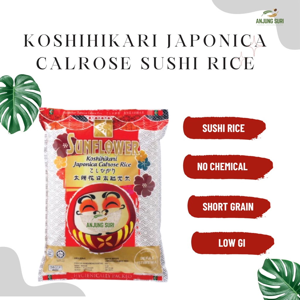 Sunflower Koshihikari Japonica Calrose Japanese Rice Beras Sushi Jepun ...