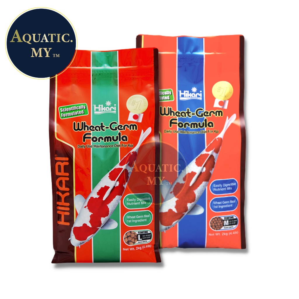 Hikari Wheat Germ Formula (2kg) Medium/Large Floating Pellets (Exp:09/2024) | Shopee Malaysia
