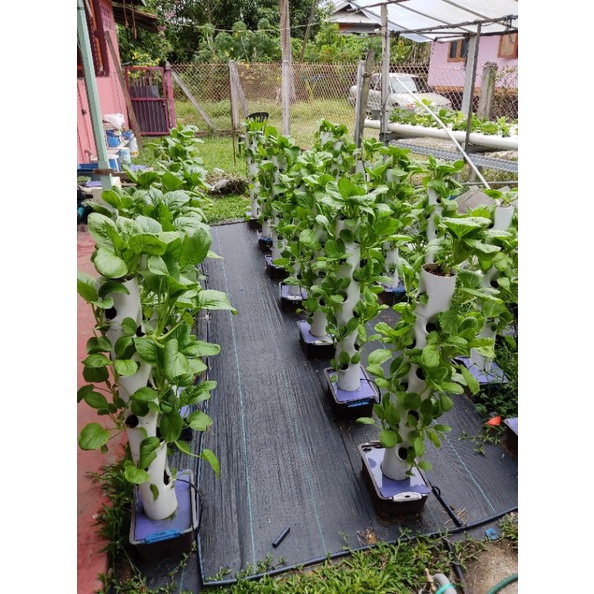 SET FERTIGASI LENGKAP / SET TANAMAN FERTIGASI MUDAH PASANG | Shopee ...