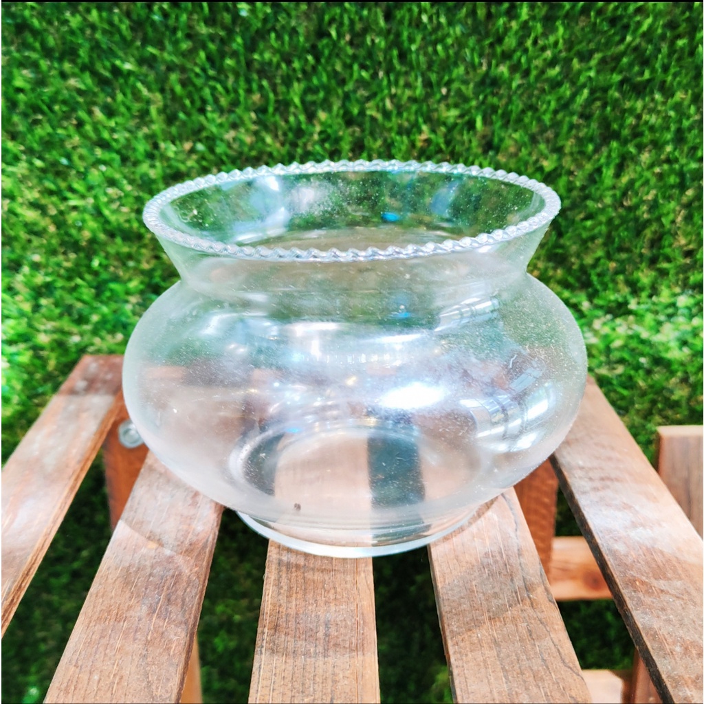 GPS Green Plant Society GPOT Clear small wave Glass Bowl Pot Aquarium ...