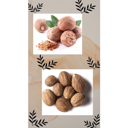 Buah pala/Nutmeg (100g/250g/500g) | Shopee Malaysia