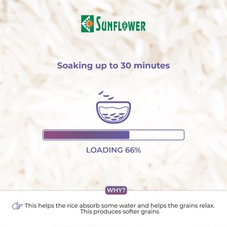 Sunflower Pure Basmathi Rice Premium Pusa 1121 Beras Basmati Low GI ...