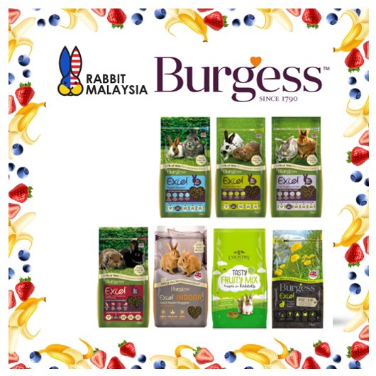 Burgess Excel Rabbit Chinchilla Food Hay Feed Nuggets Pellets Adult ...