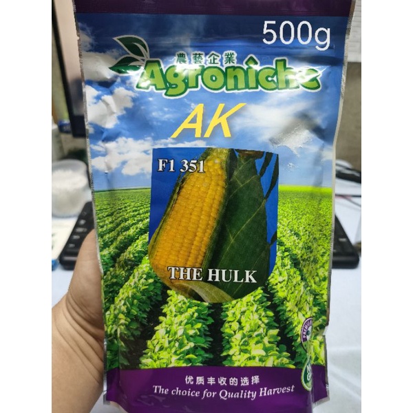 F1 351 The Hulk | AG Hybrid Sweet Corn | Benih Jagung Manis (500g) | Shopee Malaysia