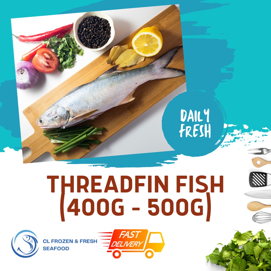 Pantai Remis Wild Caught Threadfin Fish / Ikan Senangin (400g - 500g ...