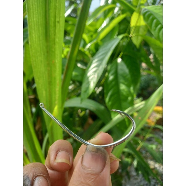 Snakehead fish hook 2.5 steel pigPiece | Shopee Malaysia