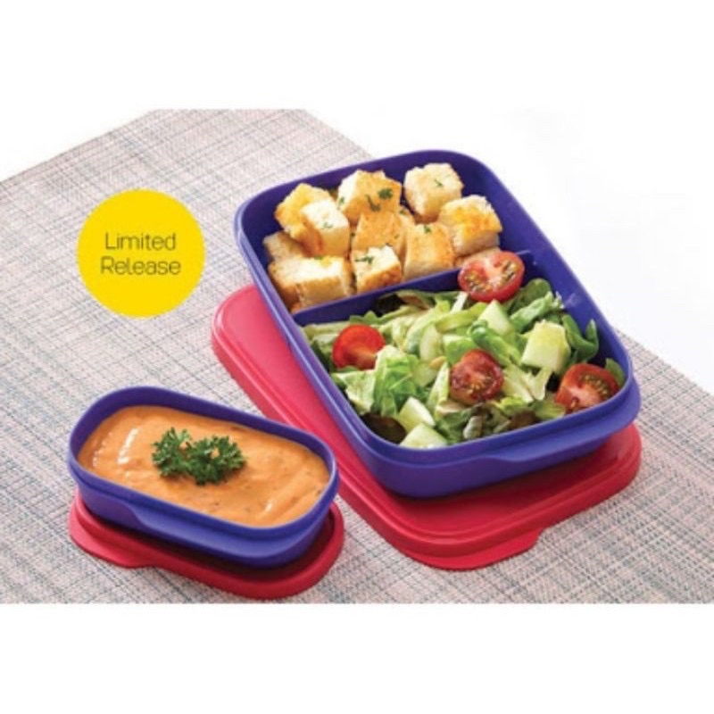 Tepak LUNCH/TUPPERWARE CLASSIC SLIM LUNCH BOX | Shopee Malaysia
