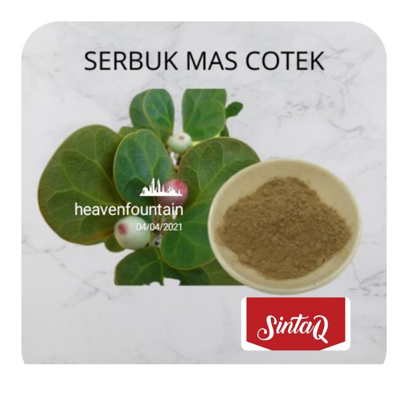 SERBUK MAS COTEK FICUS DELTOIDEA POWDER | Shopee Malaysia