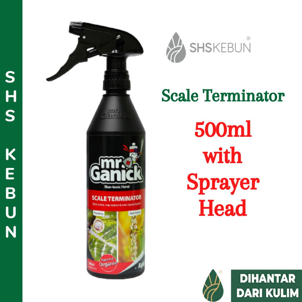 Mealybug Spray Racun Serangga Organik Organic Pesticide Scale ...