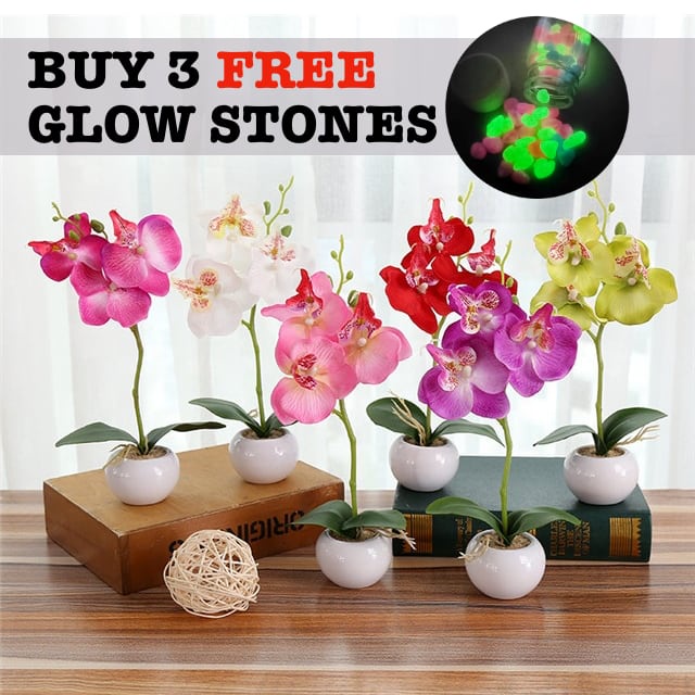 Artificial Orchid with Ceramic Pot / Potted Artificial Orchid for Home ...
