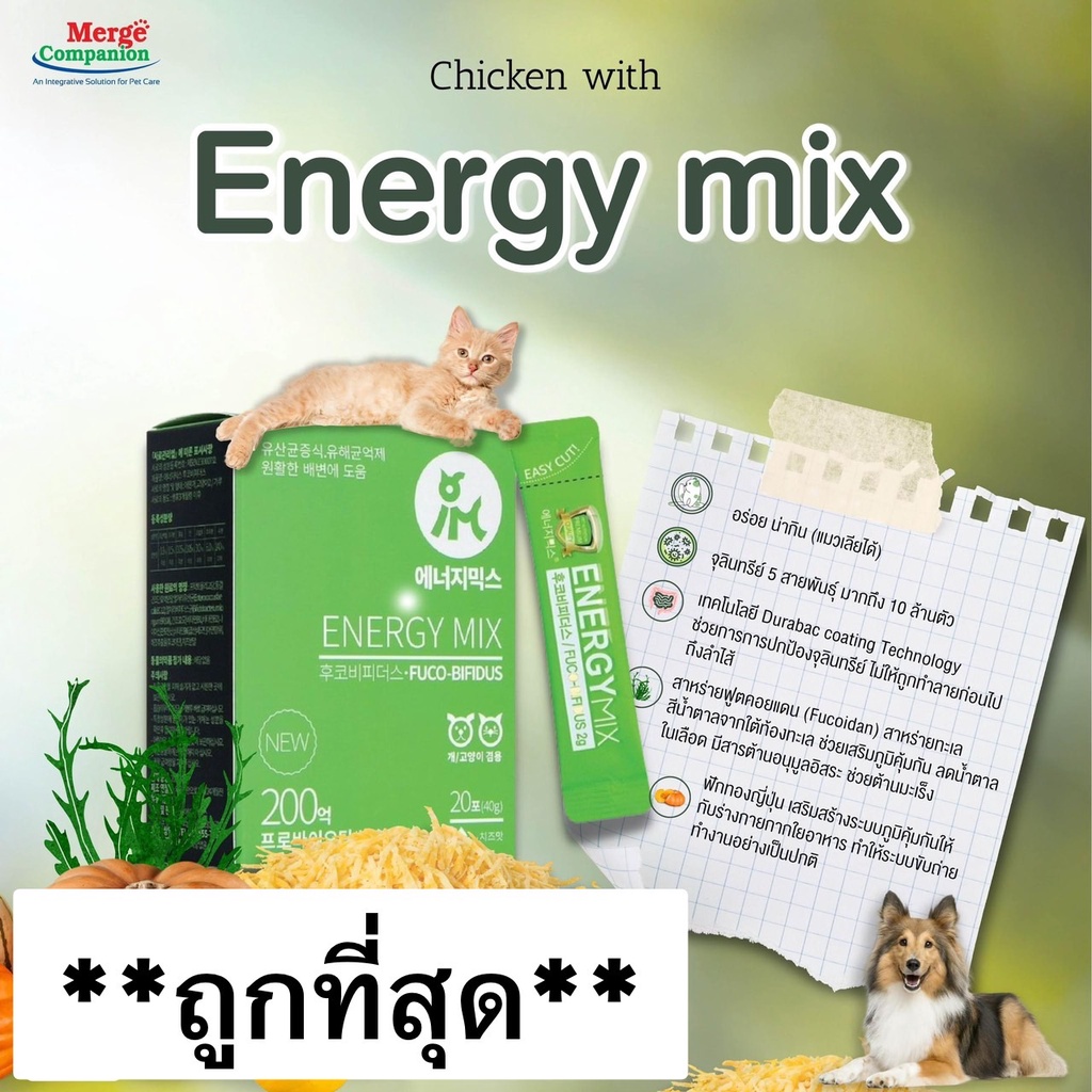 Energy mix Probiotic For Cats And Dogs To Enhance Immunity Cure Colds ...
