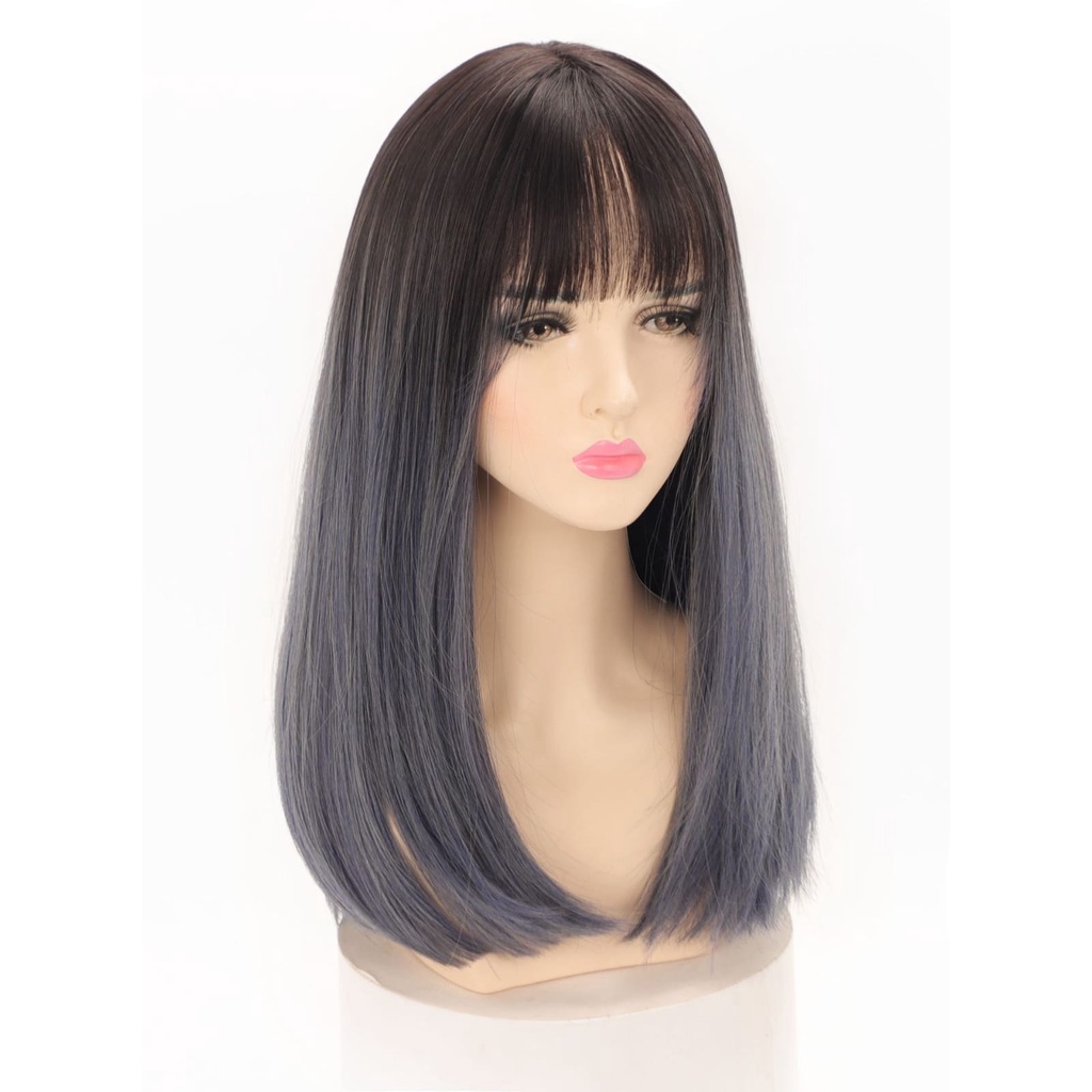 Izumi WIG STRAIGHT GRADATION SEDADA AND LONG STRAIGHT FRONT BANG SHAGGY ...