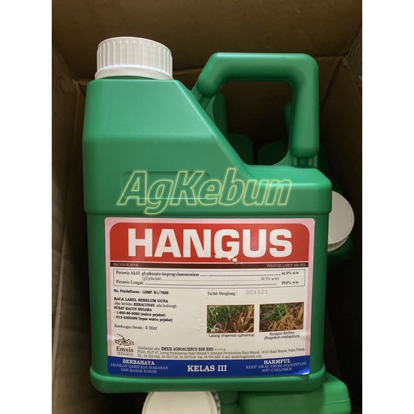 4L HANGUS Glyphosate 41% Weed Killer (Racun Rumput Lalang/Ubat rumput ...