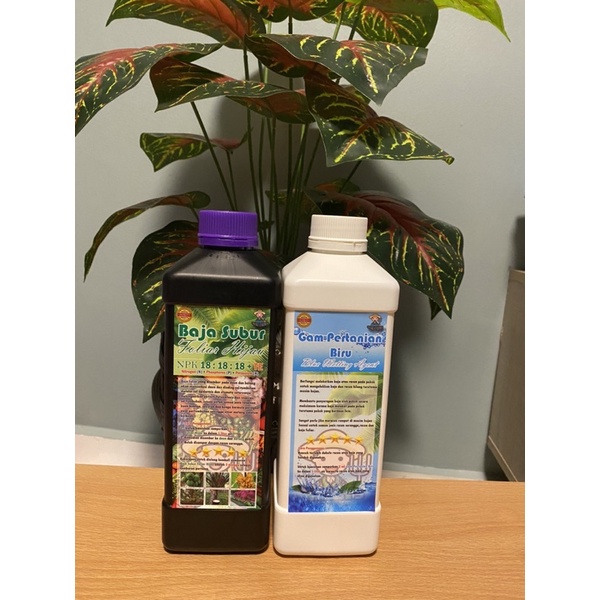 Baja Foliar Hijau 18:18:18 Free Gam Pertanian (Wetting Agent) | Shopee ...