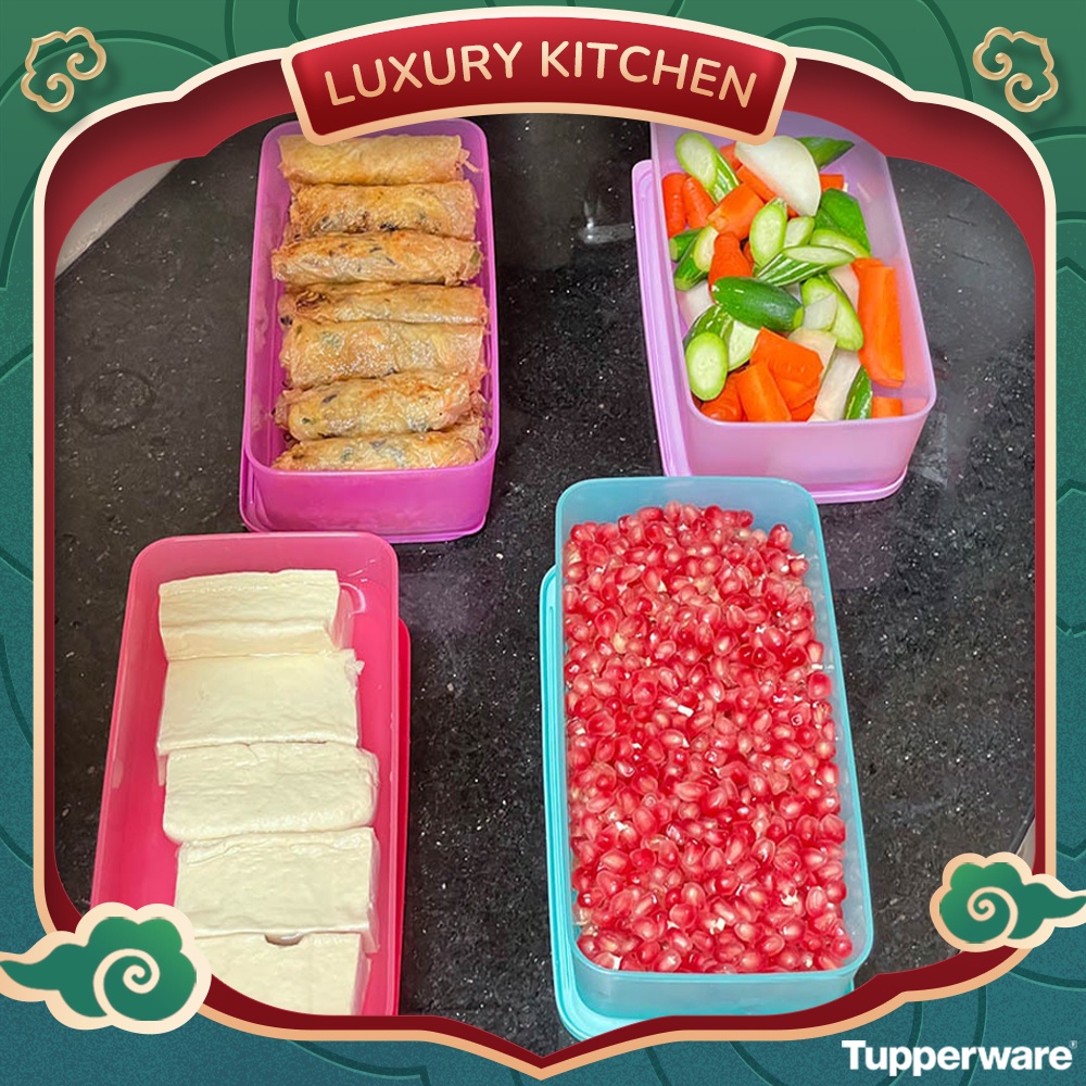 Thailand Food Box Tupper Pak N Stor - Dedicated Cool Compartment Box ...