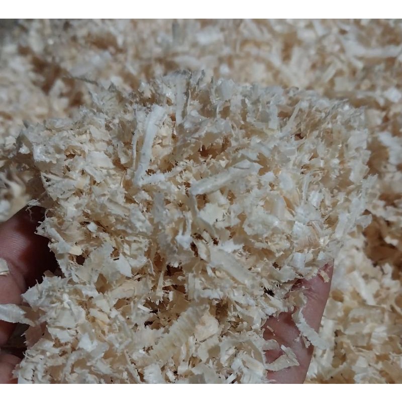 KAYU Dutch teak wood powder | Shopee Malaysia