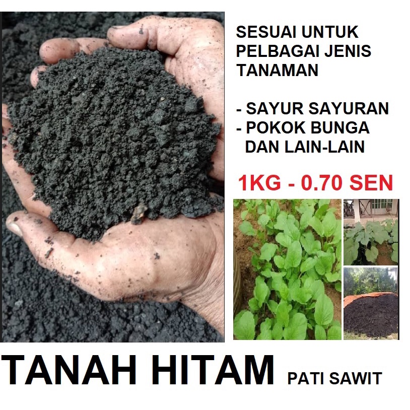 TANAH HITAM/TANAH HITAM PATI SAWIT/TANAH BAJA /PATI SAWIT ( 1KG ...