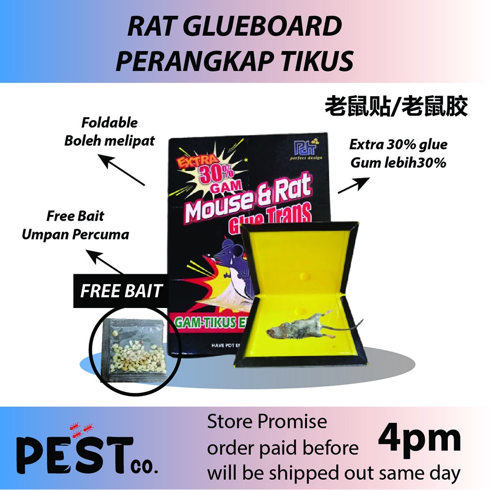 Perangkap Tikus Extra Gum / Rat Glue Trap Extra Gum and Foldable/ Mouse ...