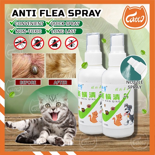 CATTO Ubat Kutu Kucing Flea Spray For Cat Dog Ubat Kutu Telinga Pet ...