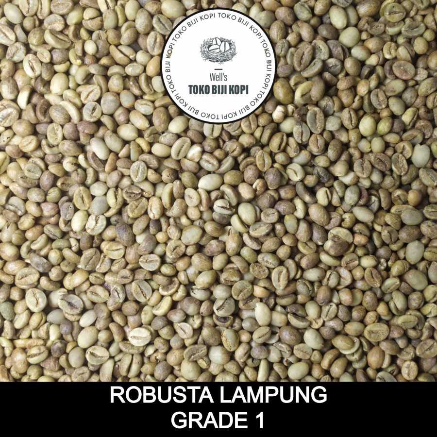 Green BEAN ROBUSTA LAMPUNG GRADE 1 Raw Coffee BEAN - 1 KG | Shopee Malaysia