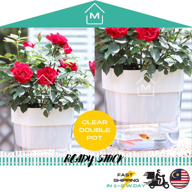 Clear Transparent Square Hydroponic Pot Self Watering Pot | Pasu ...