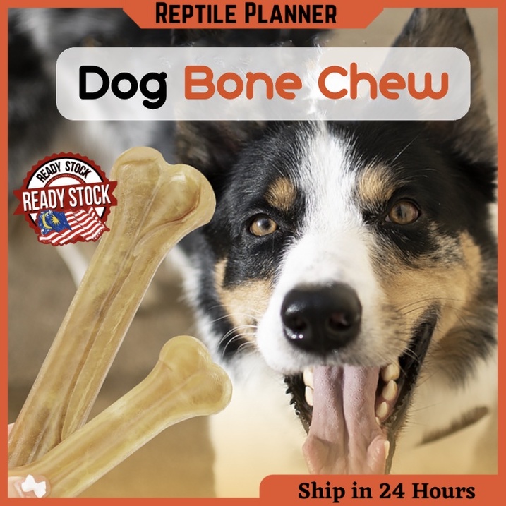 Dog Rawhide Bone Chew Toy Dog Bone Toy Dog Toothbrush Snack 狗狗磨牙棒狗狗骨头零食 ...