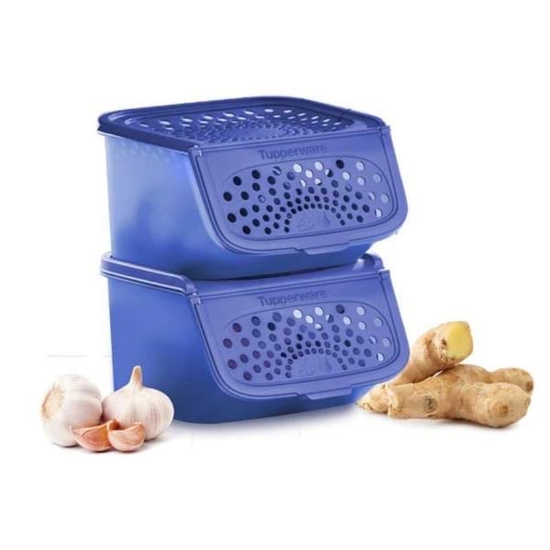 TUPPERWARE ROYAL BLUE GARLIC N ALL 2.3L (2PCS) | Shopee Malaysia
