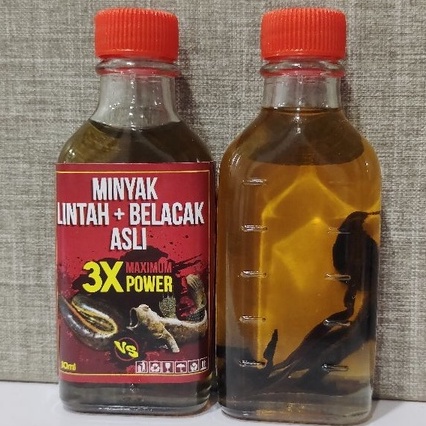 MINYAK LINTAH + BELACAK ASLI minyak lintah gunung minyak lintah gunung ...