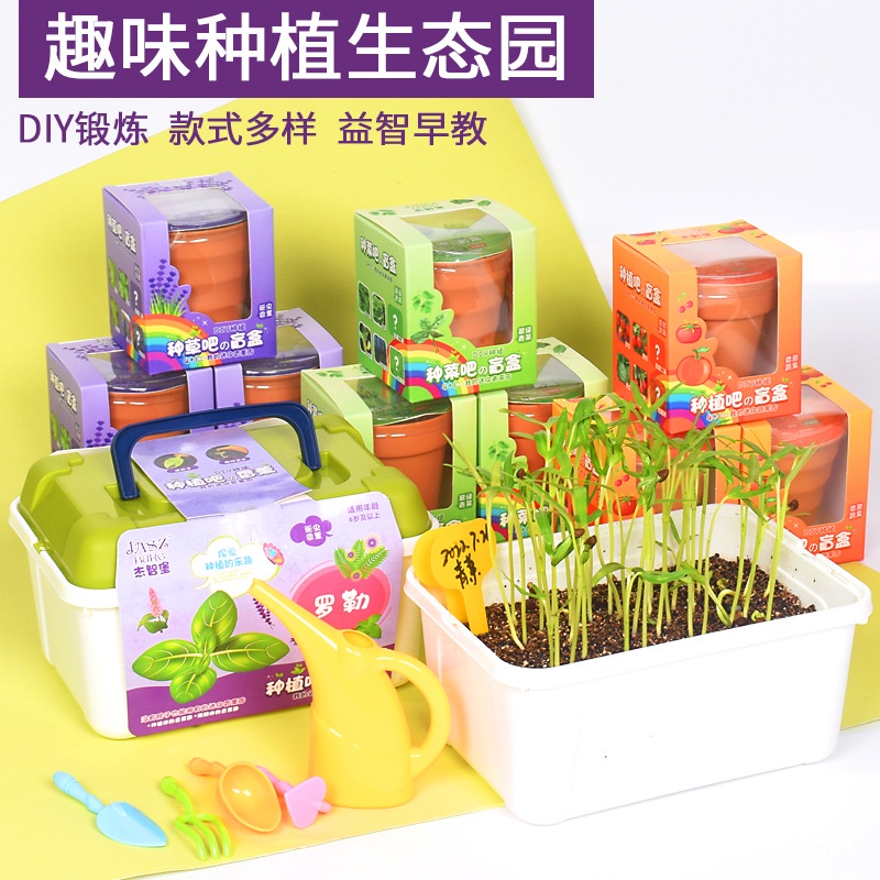 Kindergarten Children Science Education Homework DIY Handmade Planting ...