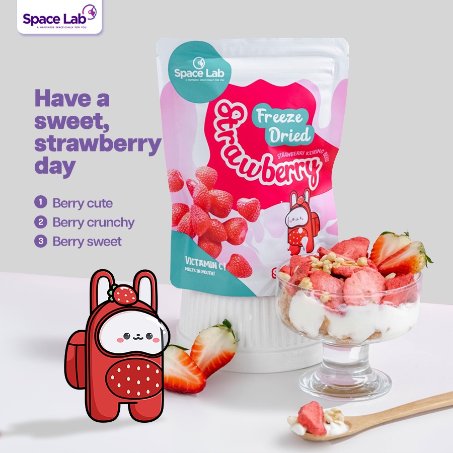 Space Lab Freeze Dried Strawberry fruits healthy snack food halal ...