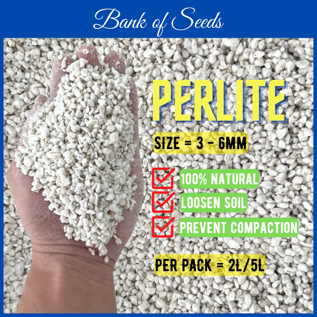 2L/5L Perlite 珍珠岩 3-6mm For Cactus & Succulents (Natural Expanded ...