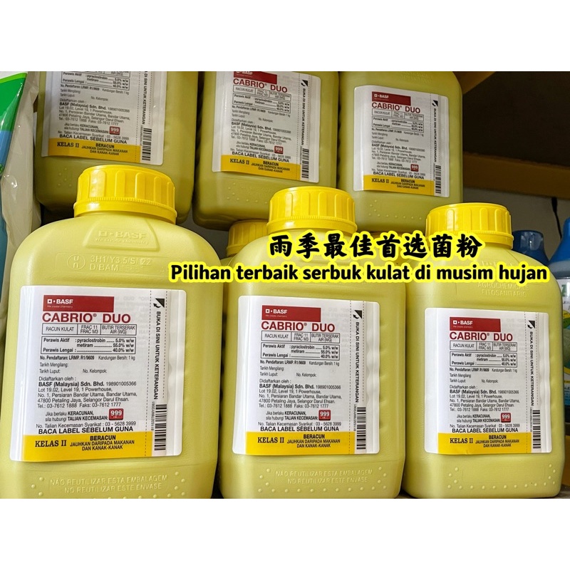 BASF Cabrio Duo 1KG pyraclostrobin 5.0%+metiram 55.0%雨季最佳首选菌粉 | Shopee ...