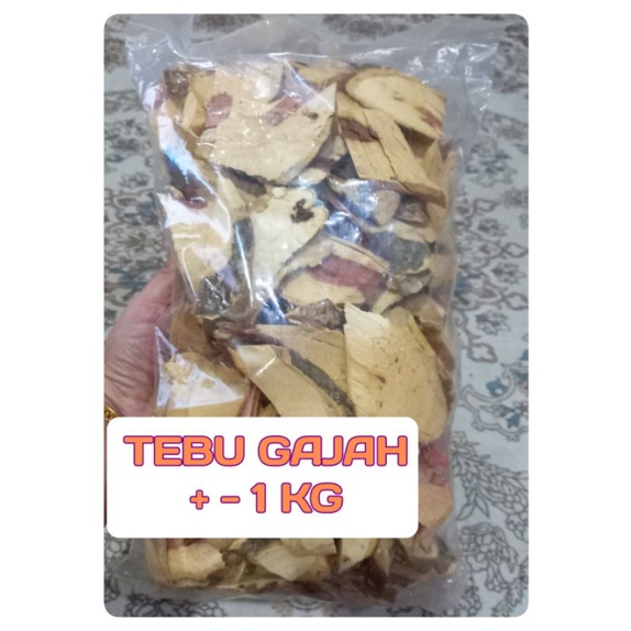 TEBU GAJAH BORONG (+- 1KG) | Shopee Malaysia