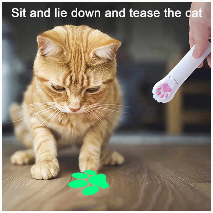 Interactive Cat Toy LED Projection Pen Light Pointer USB Rechargeable ...