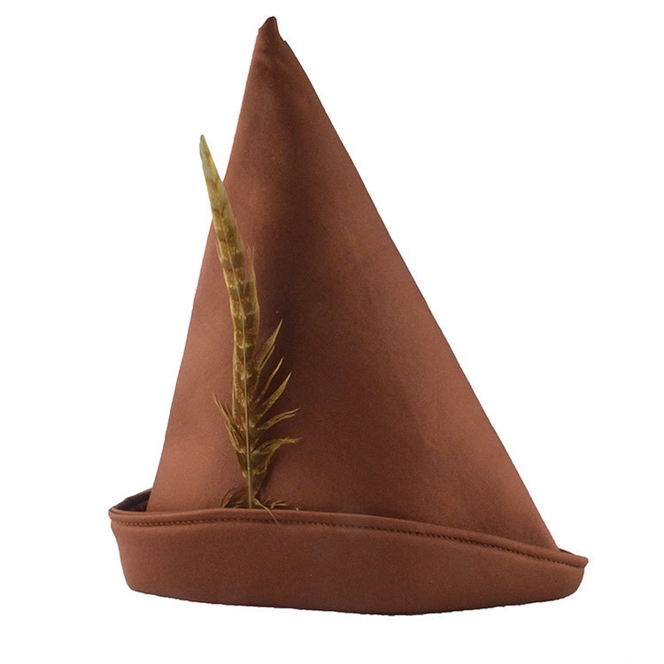 MSIA Ready Stock/ Hats with Feather Hat Party Costume Peter Pan Props ...