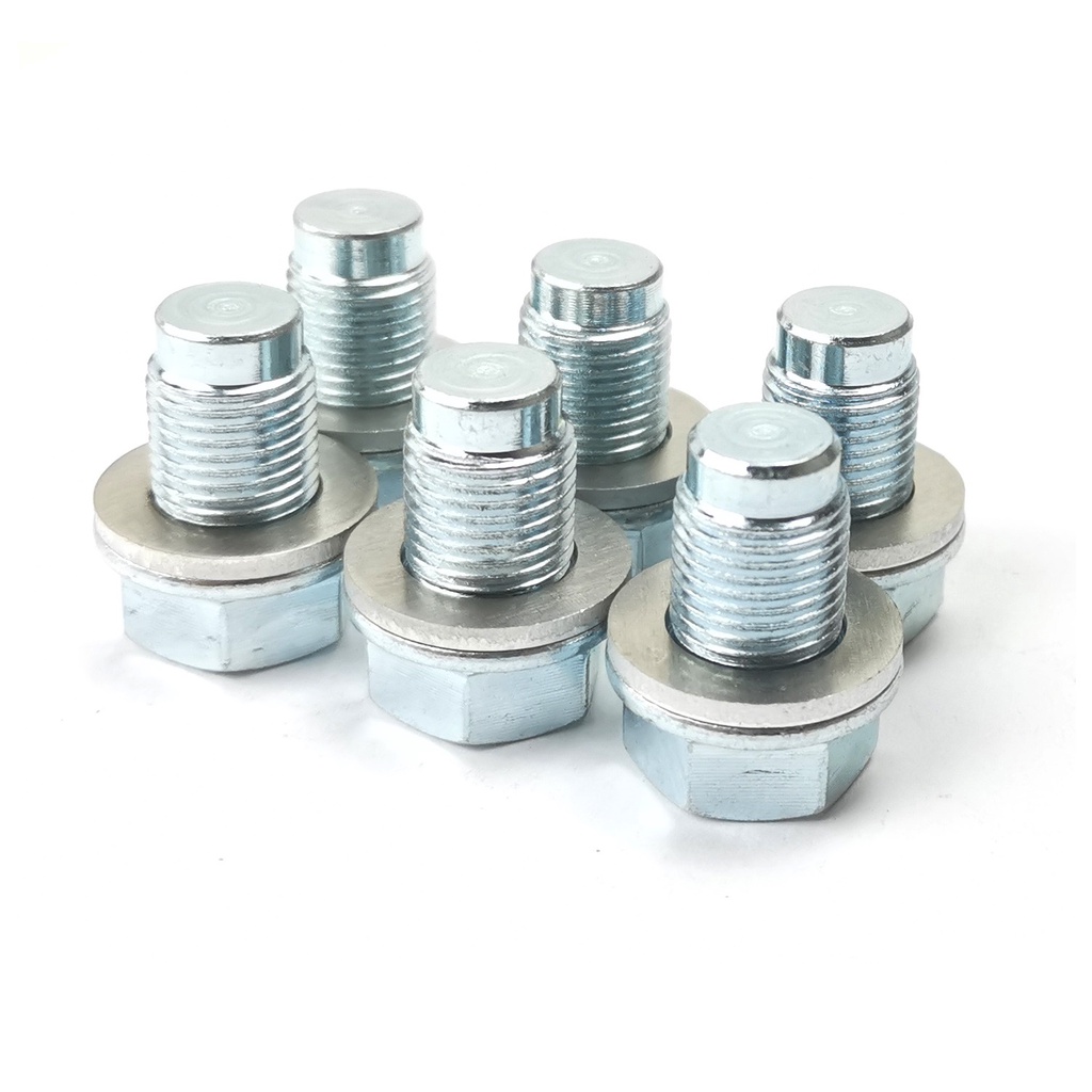 3699N M13 x 1.25 Oil Sump Nut (c/w Washer) [made in Taiwan] | Shopee ...